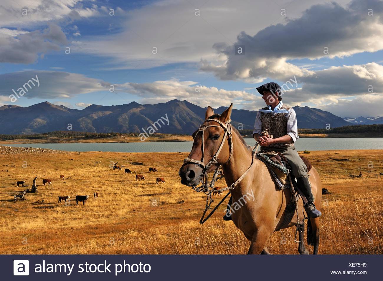 Horseback Riding Patagonia Argentina High Resolution Stock Photography ...