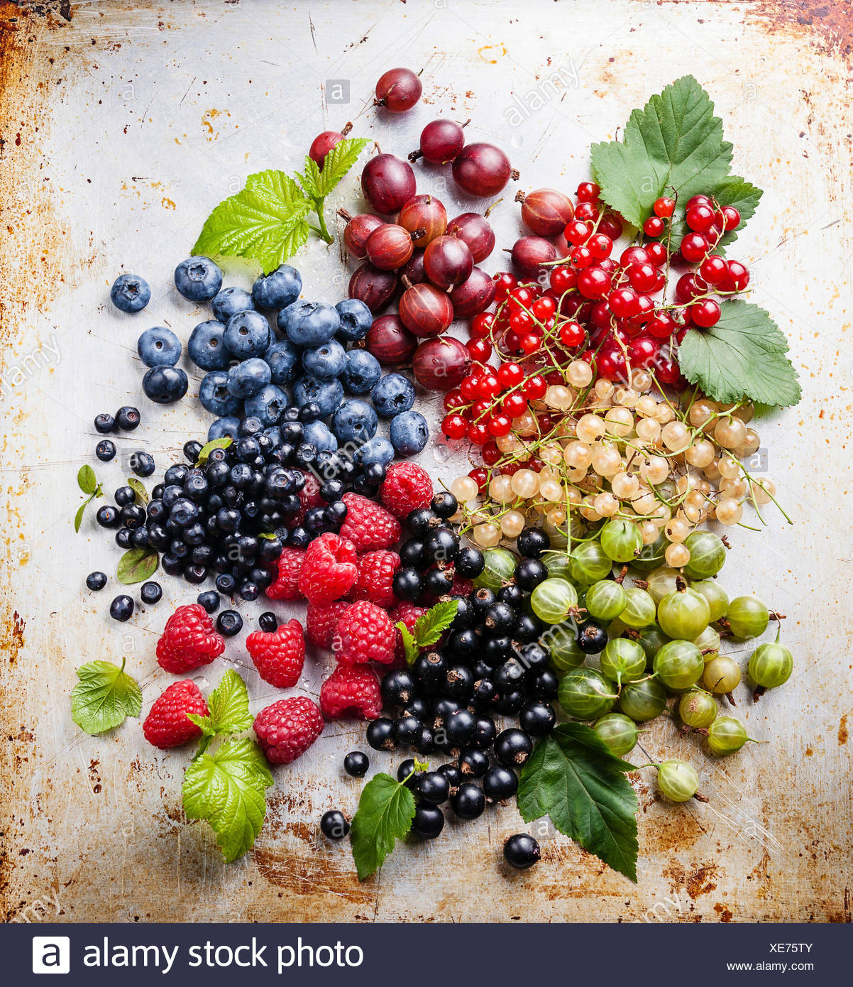 Bright Red Berries With Green Leaves High Resolution Stock Photography ...