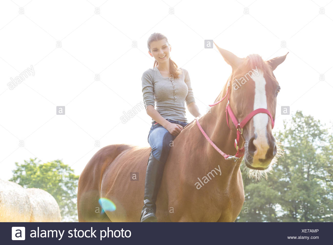 Bareback Riding Woman High Resolution Stock Photography and Images - Alamy