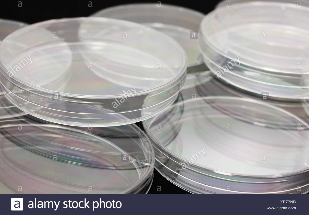 Microbiological High Resolution Stock Photography and Images - Alamy