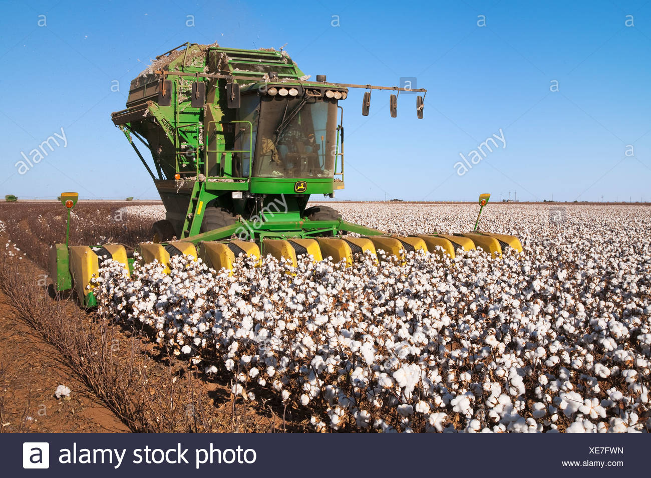 Cotton Stripper Stock Photos & Cotton Stripper Stock Images - Alamy