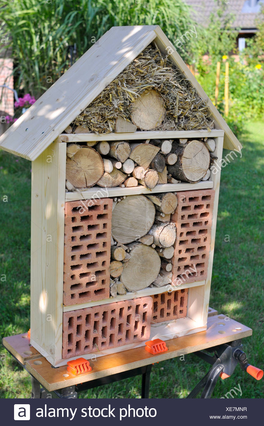 Insect Hotel Stock Photos & Insect Hotel Stock Images - Alamy