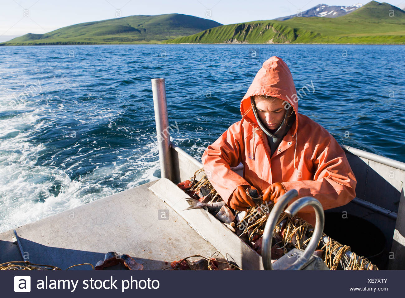 Halibut Longline Stock Photos & Halibut Longline Stock Images - Alamy