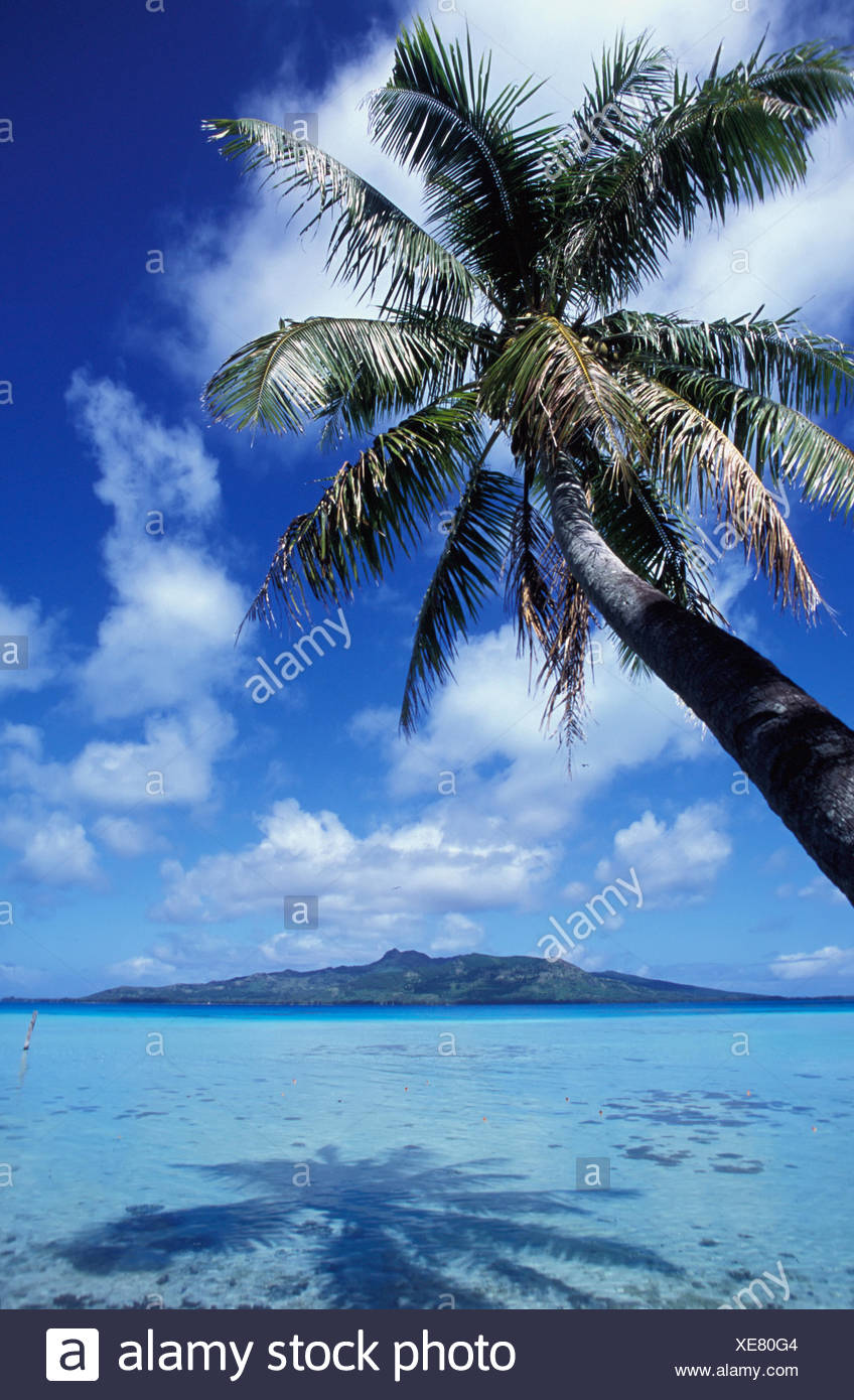 Tubuai High Resolution Stock Photography and Images - Alamy