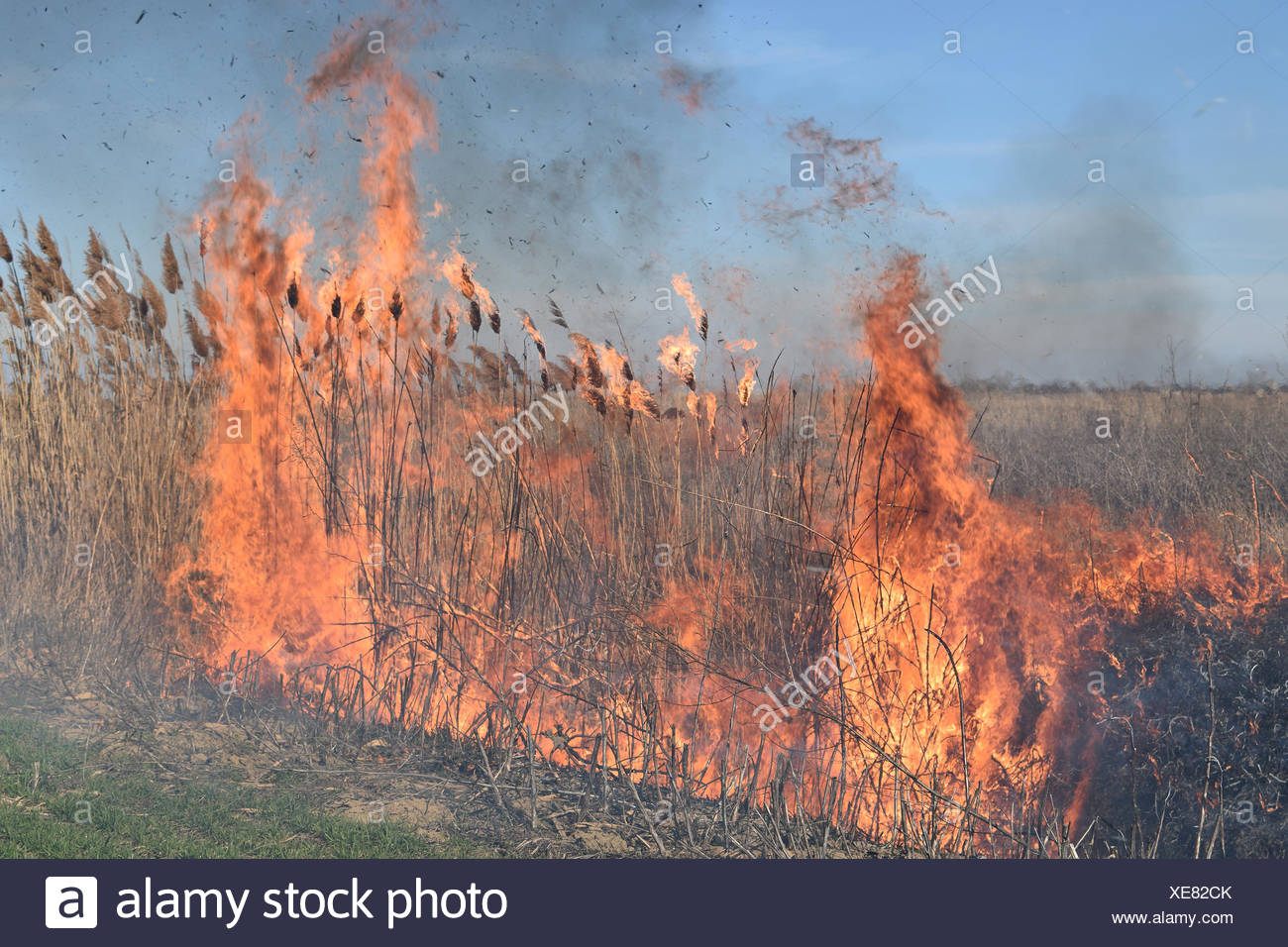 Hay Burning Stock Photos & Hay Burning Stock Images - Alamy