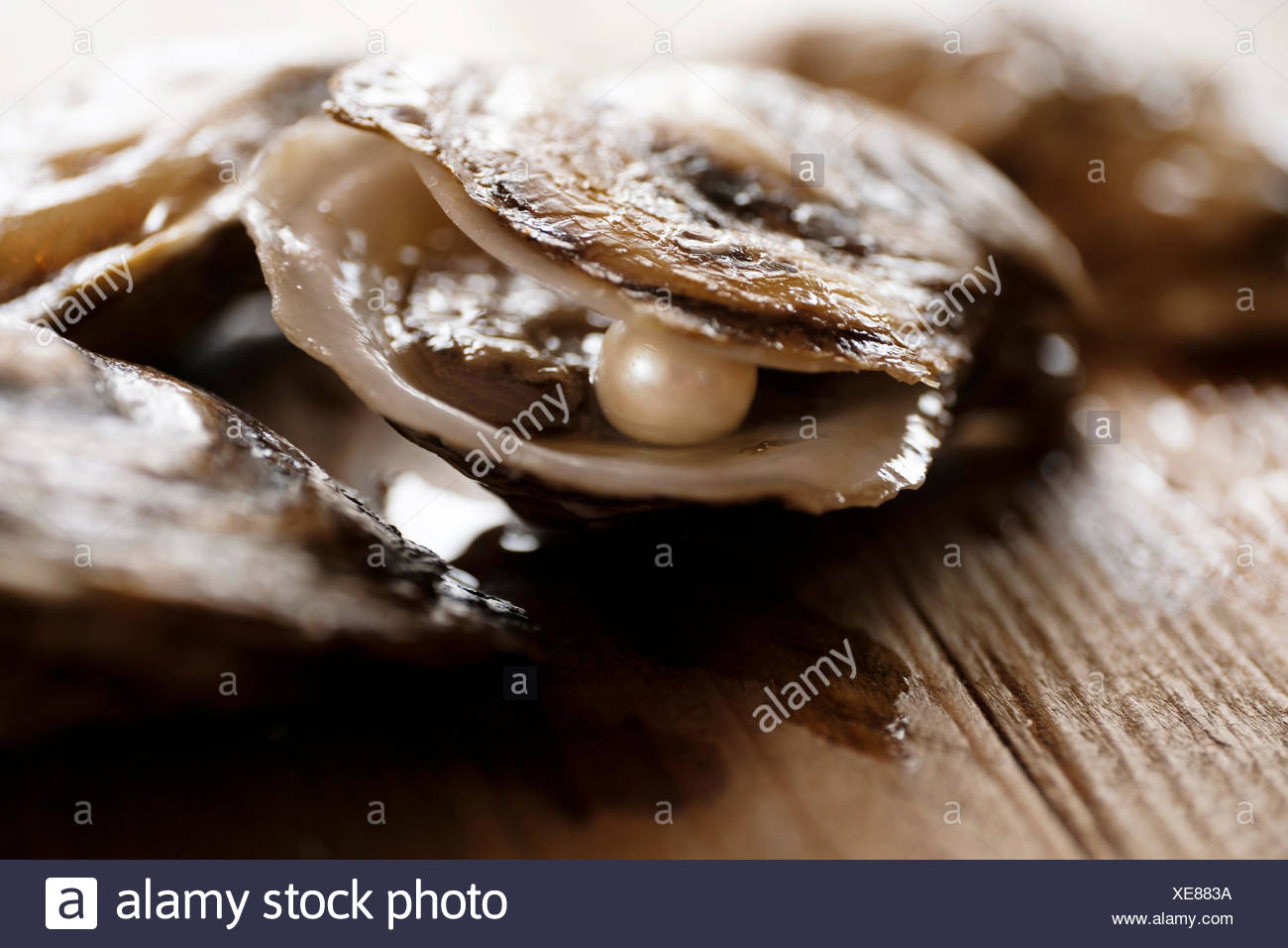 Shell Inside High Resolution Stock Photography and Images - Alamy