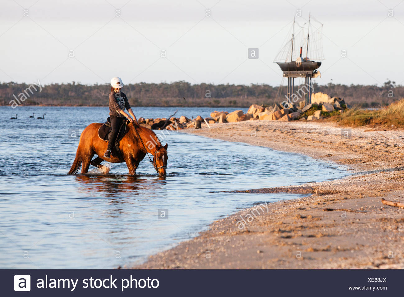 Horse Riding Australia Stock Photos & Horse Riding Australia Stock ...
