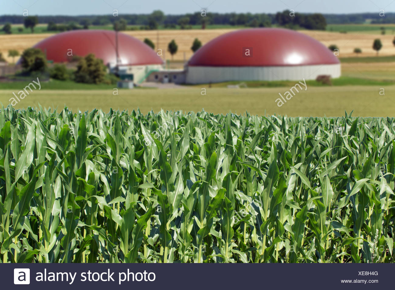Biomethane Gas High Resolution Stock Photography and Images - Alamy