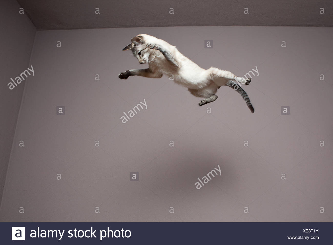 Point Air High Resolution Stock Photography and Images - Alamy
