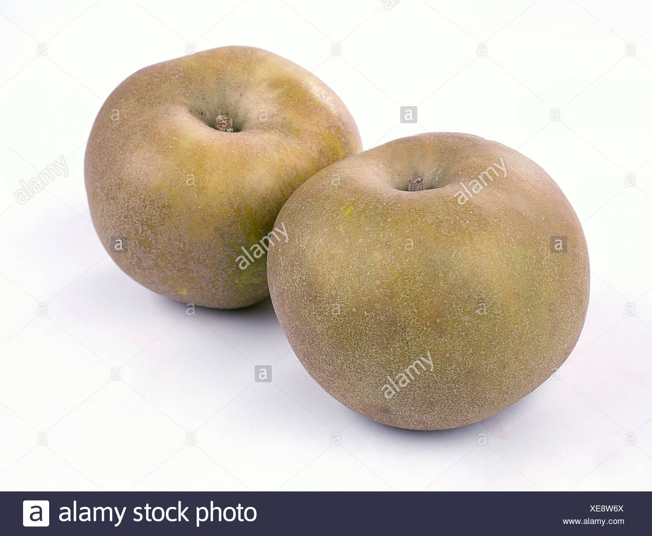 Reinette Apples High Resolution Stock Photography and Images - Alamy