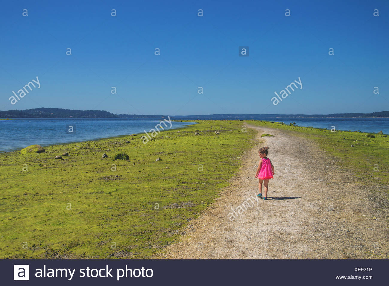 Looking Down Path High Resolution Stock Photography and Images - Alamy