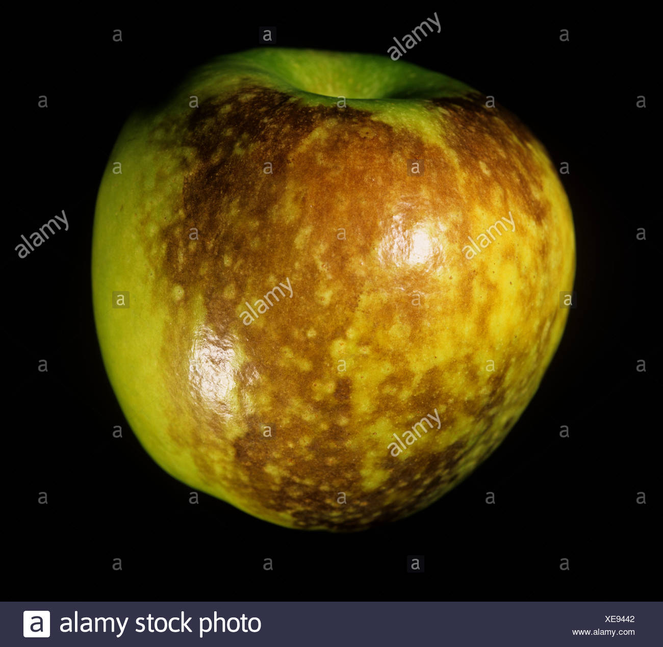 Scald High Resolution Stock Photography and Images - Alamy