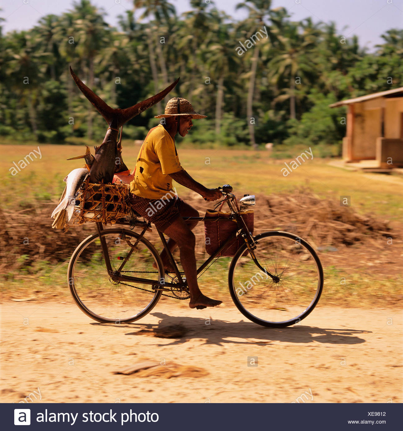 Man Bicycle Africa Stock Photos & Man Bicycle Africa Stock Images - Alamy