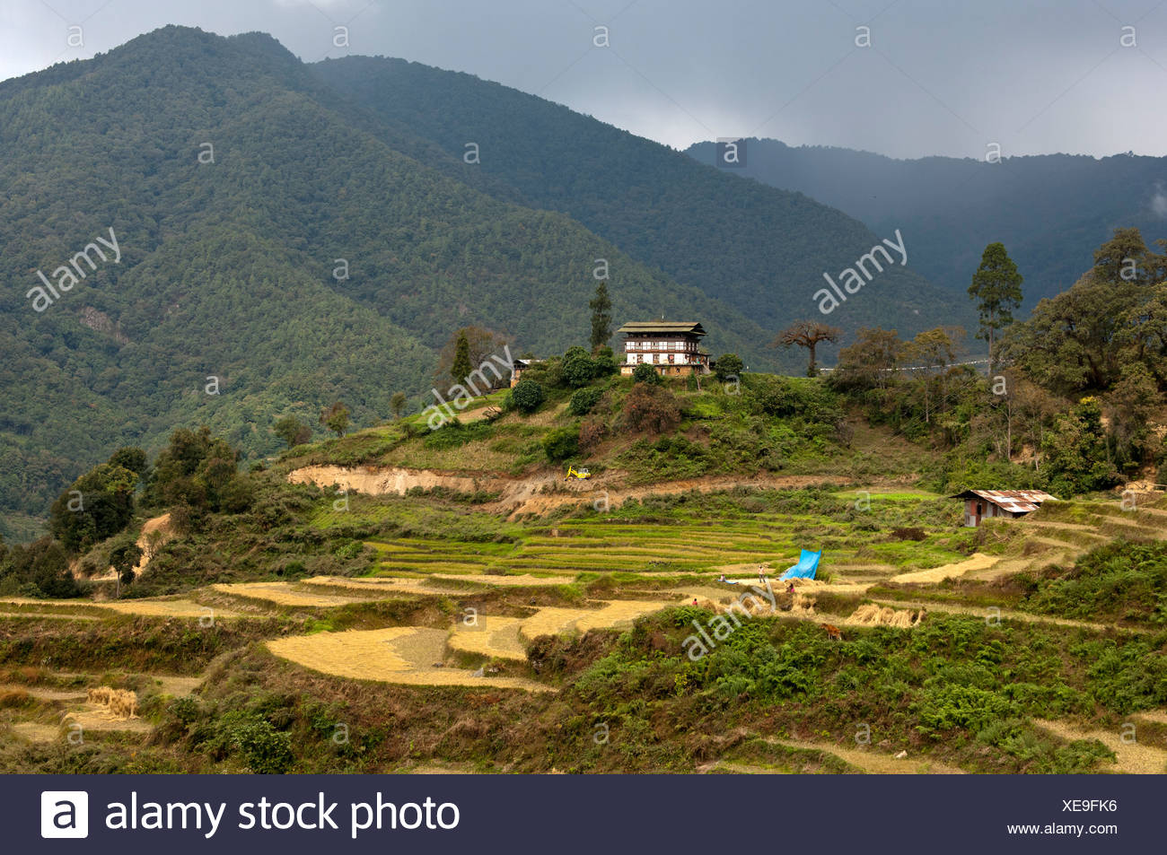Agriculture In Bhutan High Resolution Stock Photography and Images - Alamy