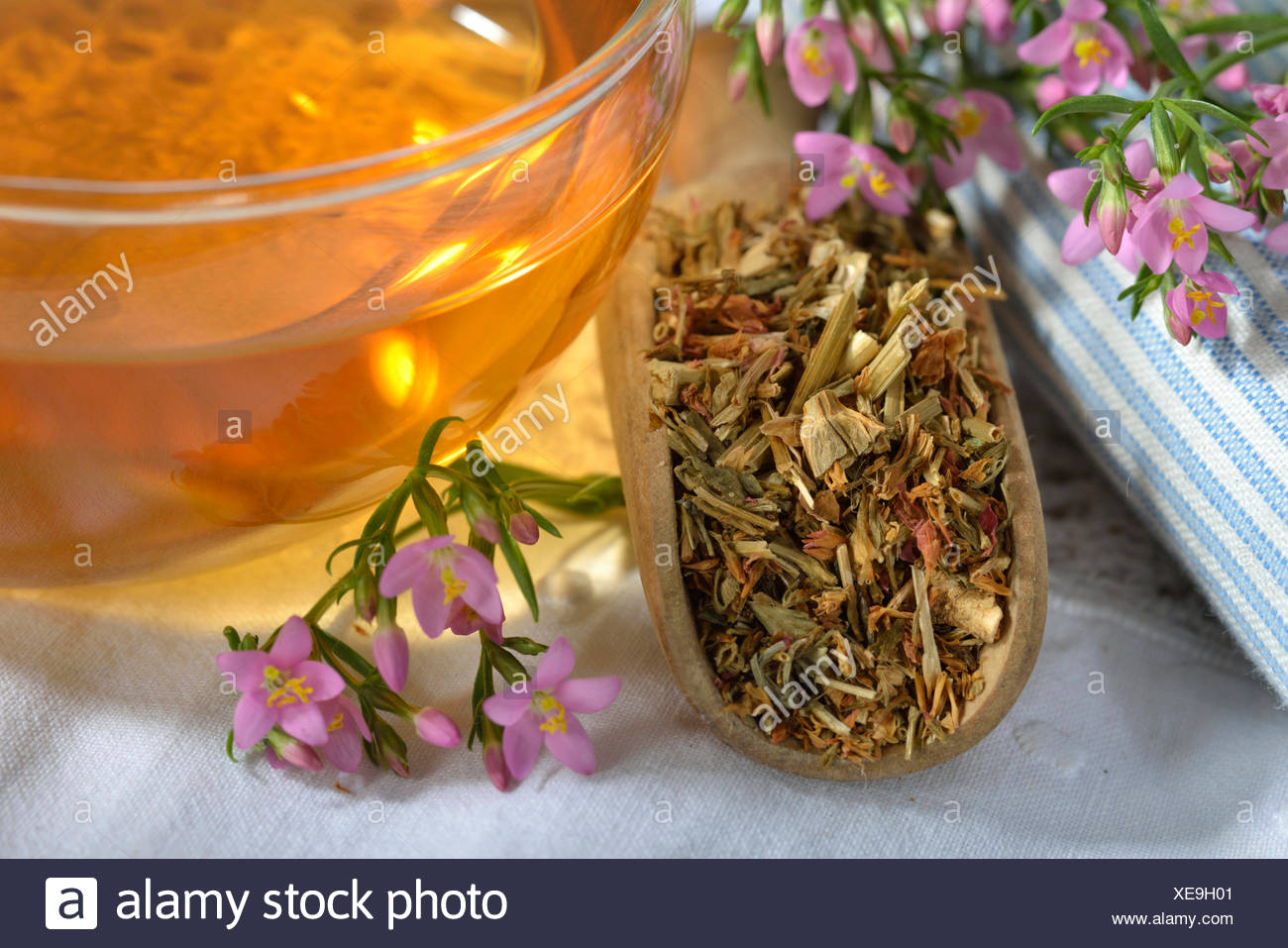 Centaurium Minus High Resolution Stock Photography and Images - Alamy