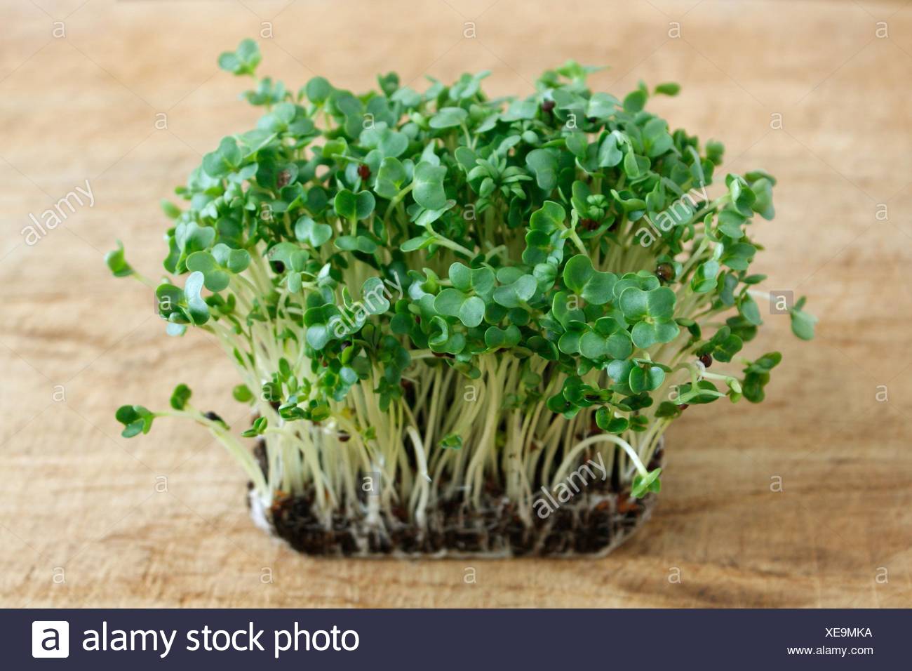 Cress High Resolution Stock Photography and Images - Alamy