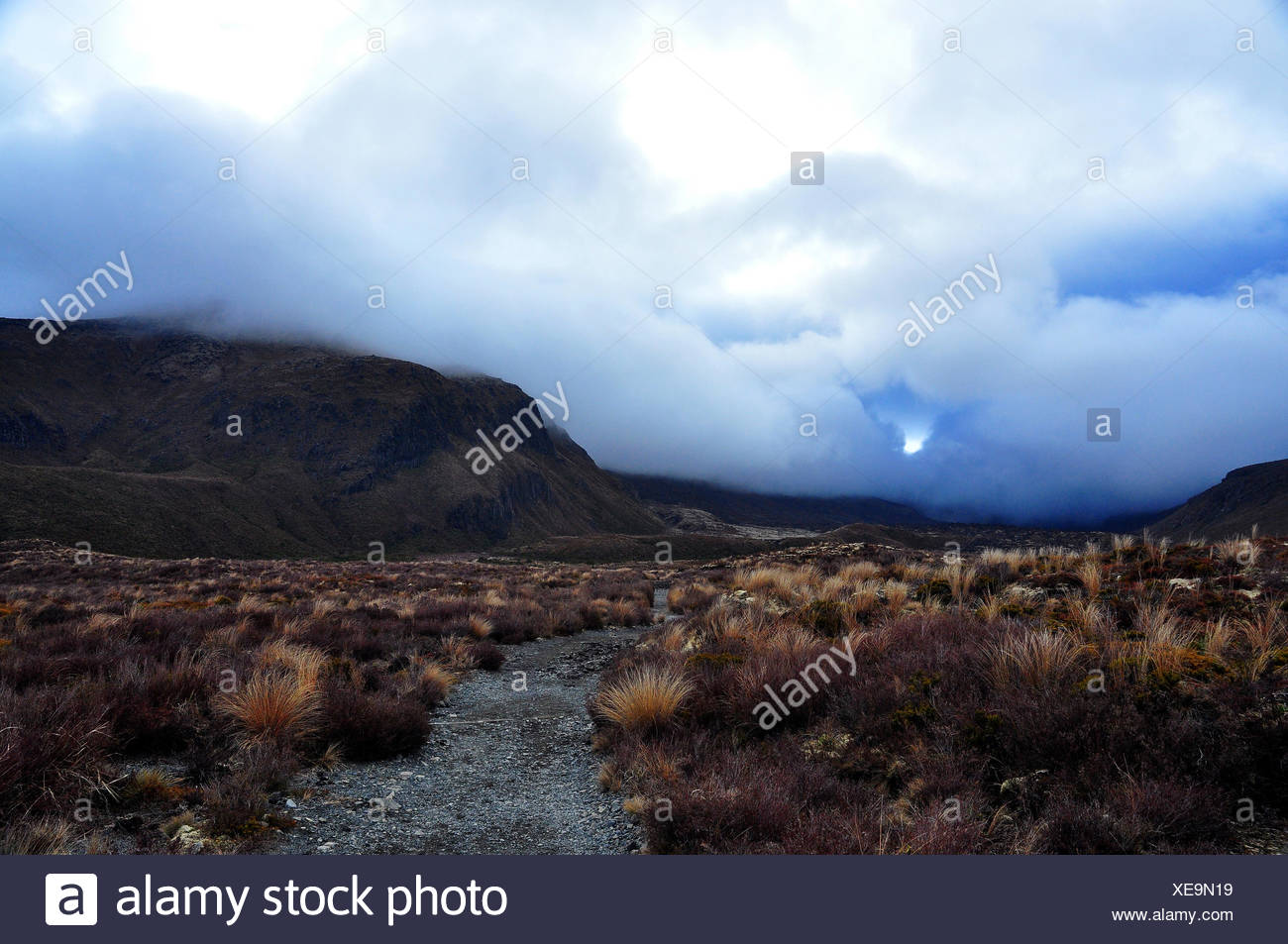 Scrubland Stock Photos & Scrubland Stock Images - Alamy