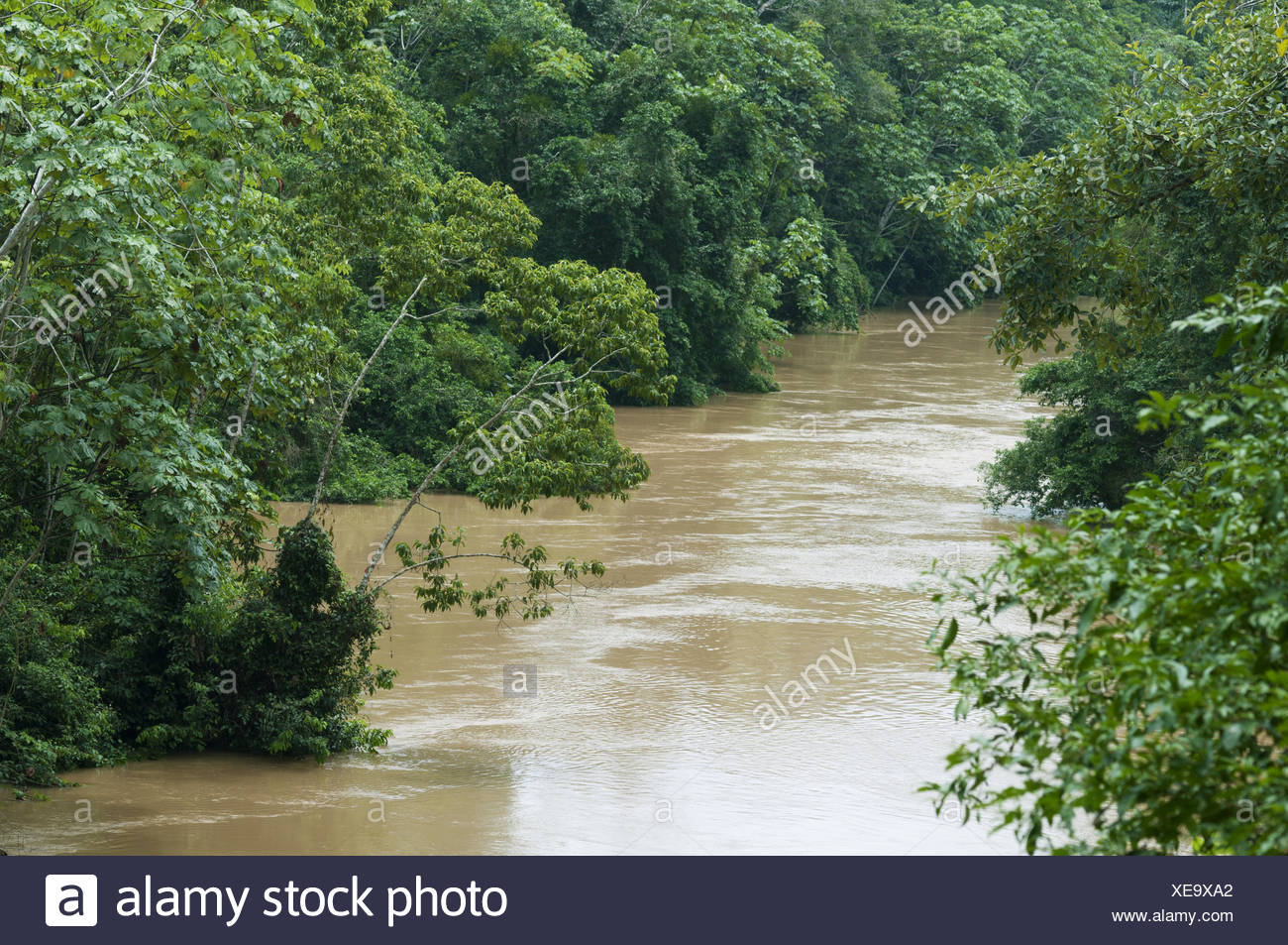 Tiputini High Resolution Stock Photography and Images - Alamy