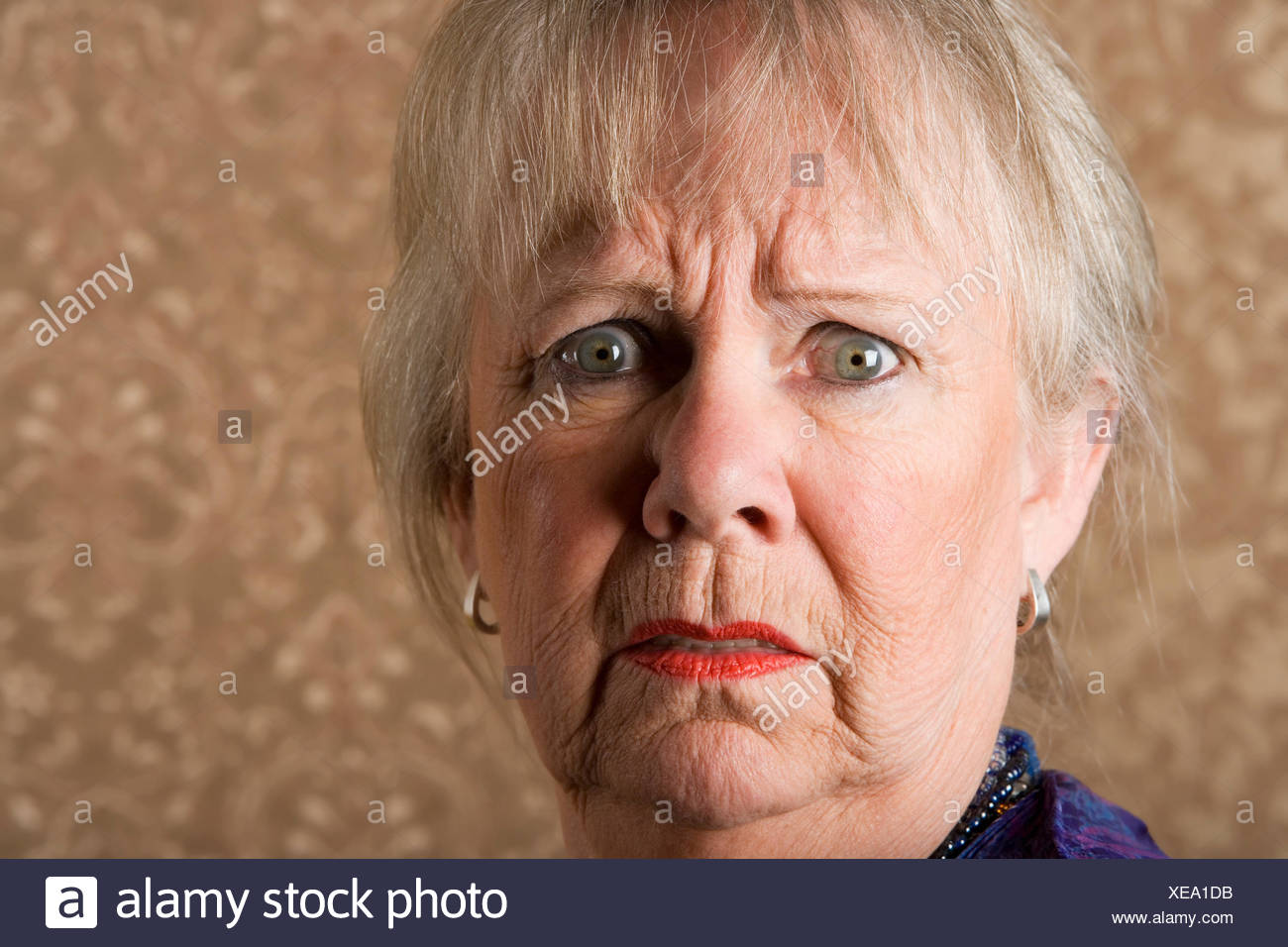 Horrified Elderly Woman High Resolution Stock Photography and Images ...