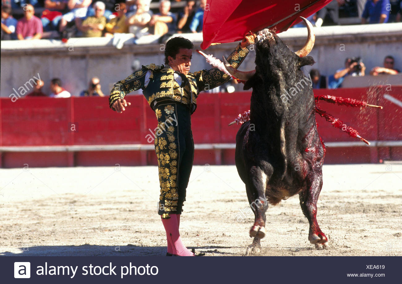 Battle Garb High Resolution Stock Photography and Images - Alamy