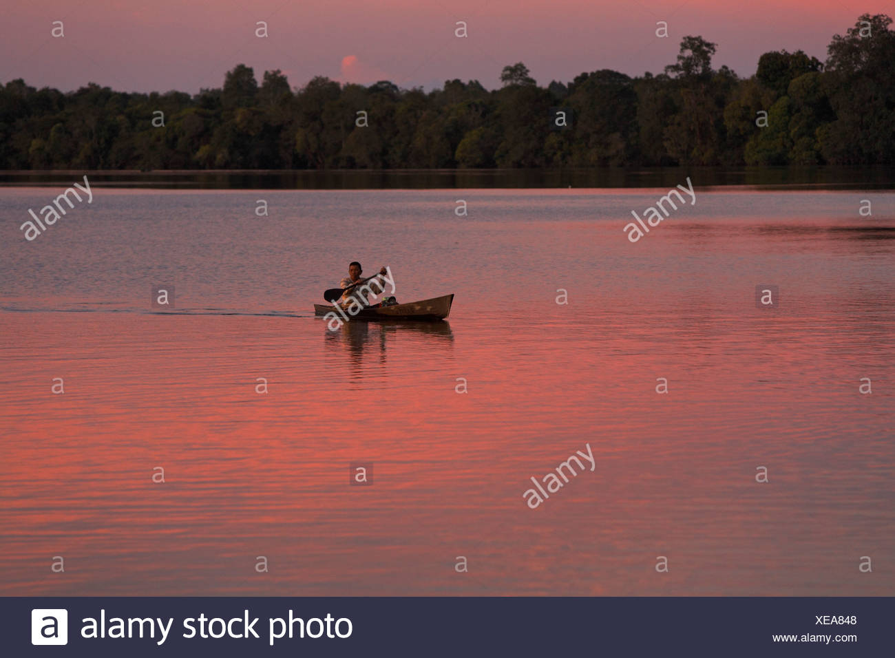 Danau Sentarum High Resolution Stock Photography and Images - Alamy