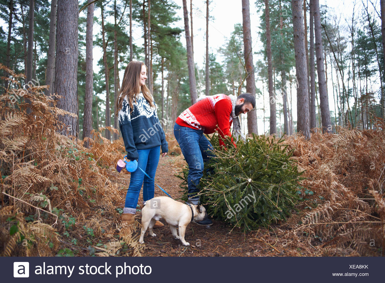 Man Carrying His Dog High Resolution Stock Photography and Images - Alamy