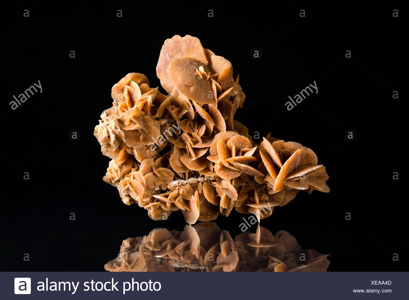 Sand Rose High Resolution Stock Photography and Images - Alamy