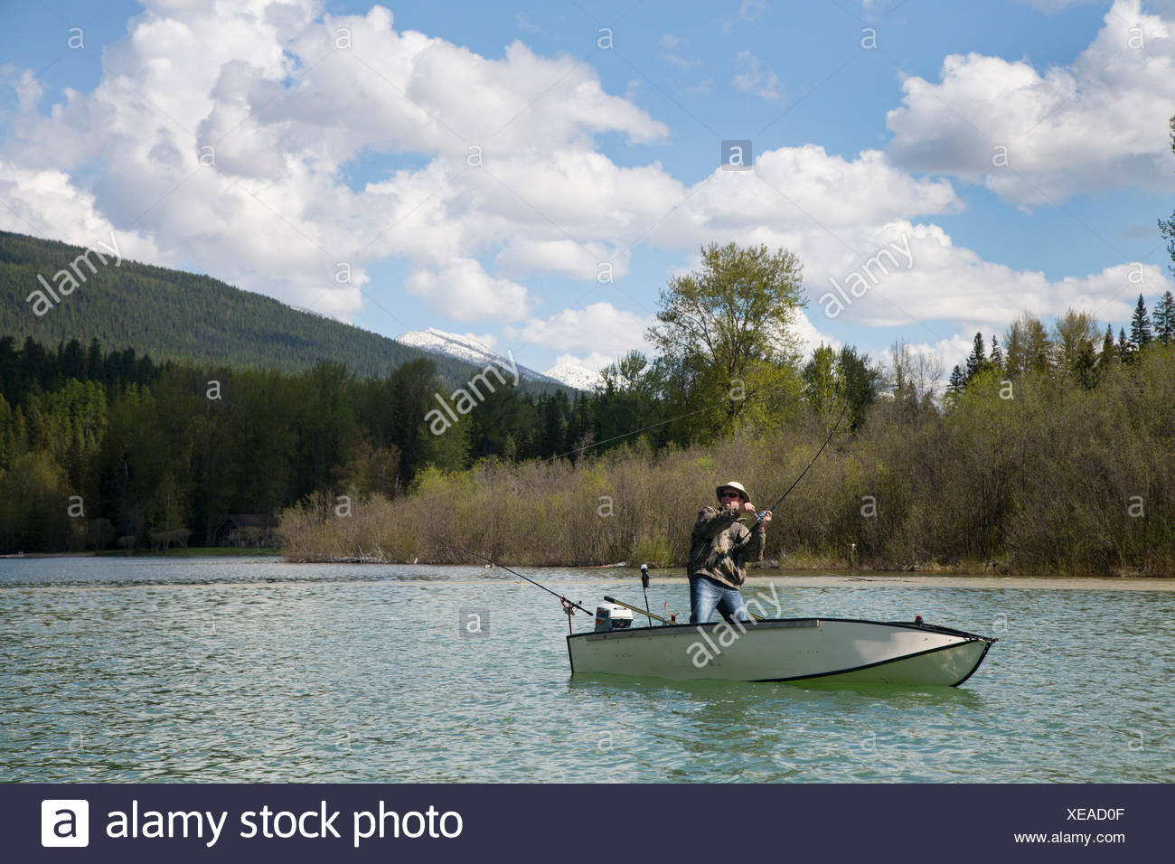 Lake Whitefish High Resolution Stock Photography and Images - Alamy