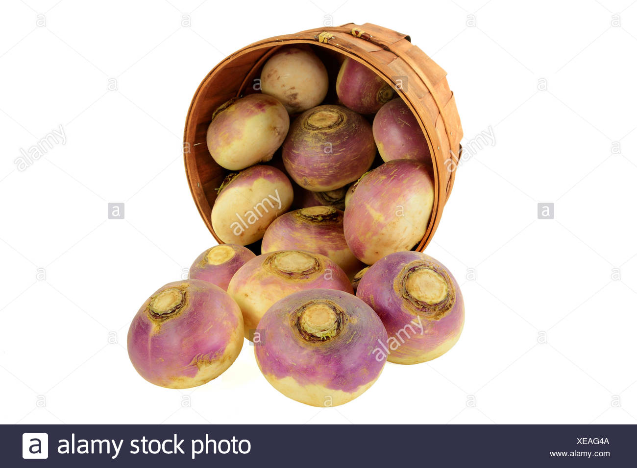 Vegetable Roots High Resolution Stock Photography and Images - Alamy