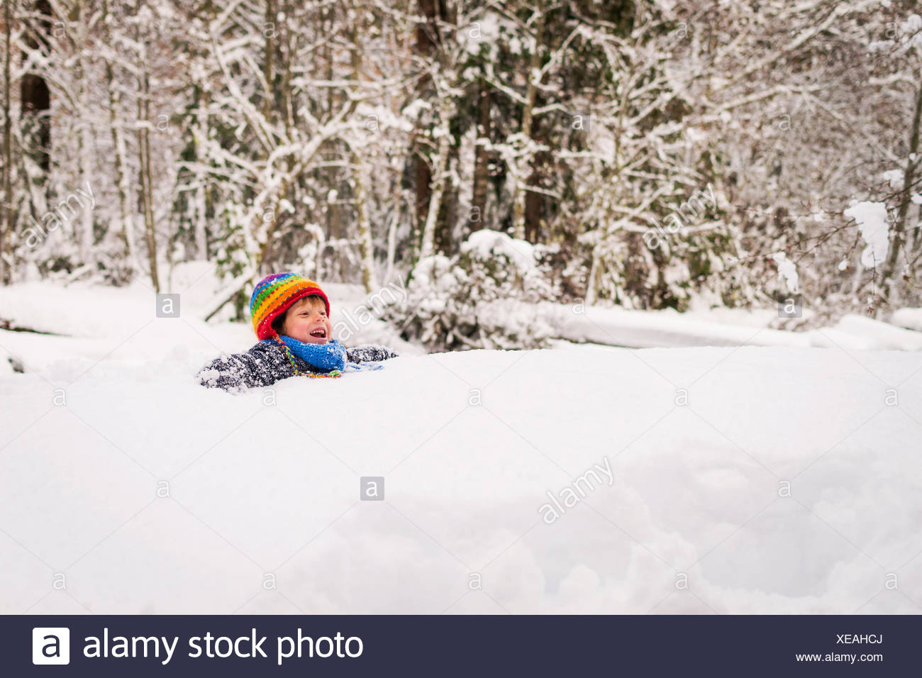 Buried In Snow Stock Photos & Buried In Snow Stock Images - Alamy