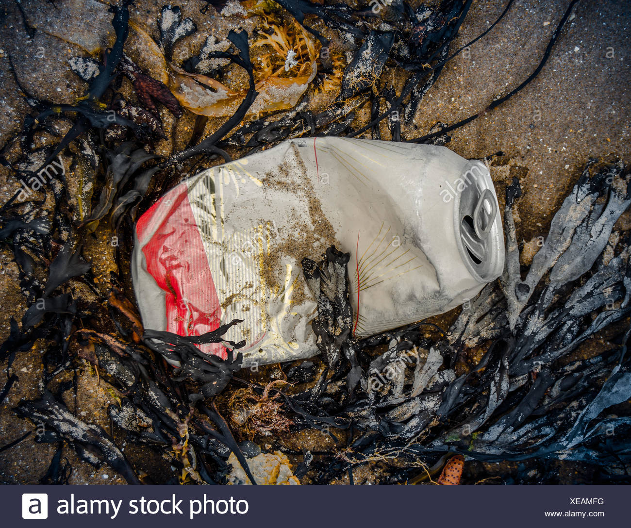 Beach Pollution Stock Photos & Beach Pollution Stock Images - Alamy