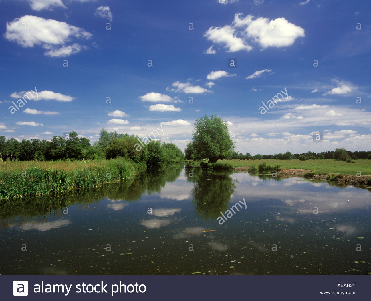 Suffolk England River Stour High Resolution Stock Photography and ...