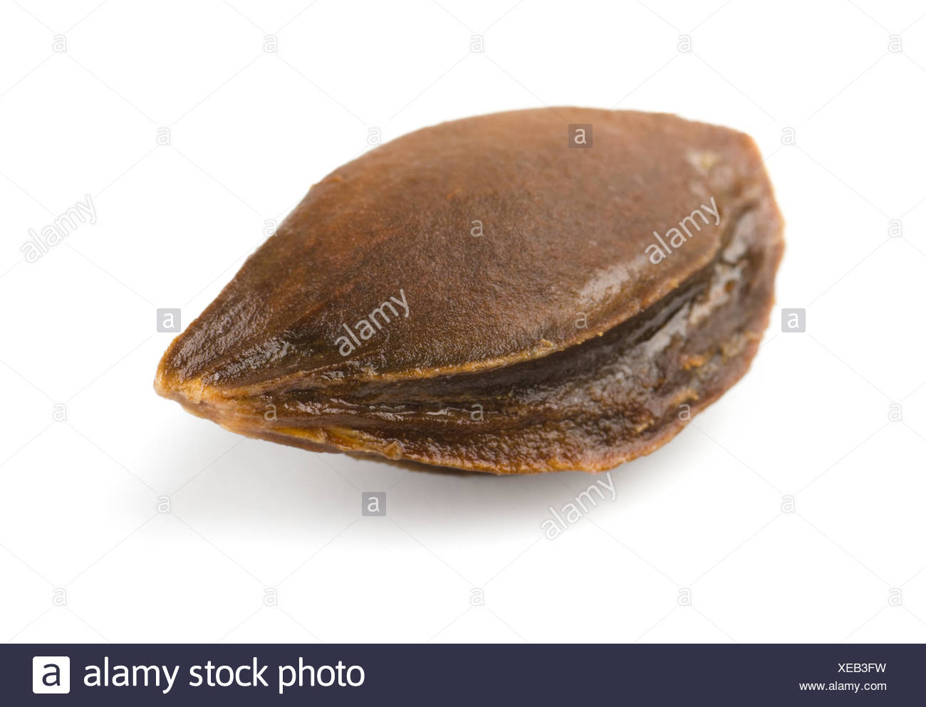 Apricot Stone Stock Photos & Apricot Stone Stock Images - Alamy