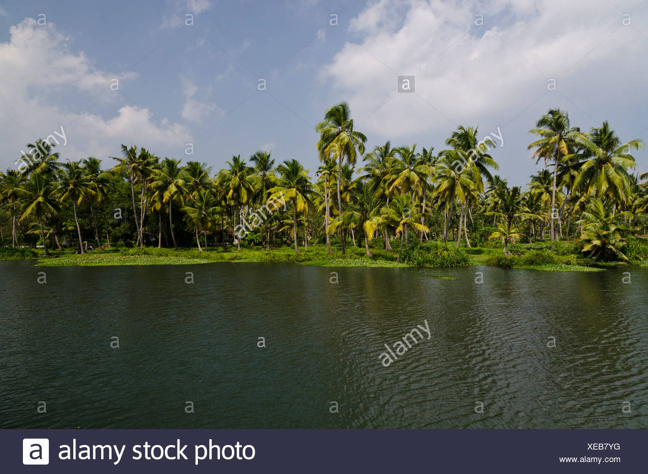 Kerala Landscape High Resolution Stock Photography and Images - Alamy