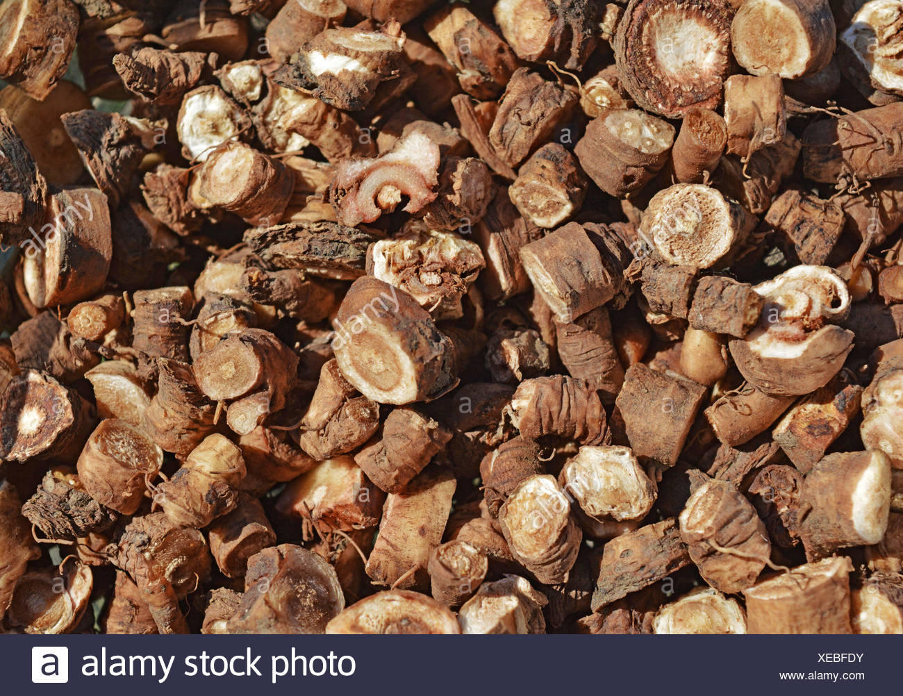 Patientia High Resolution Stock Photography and Images - Alamy