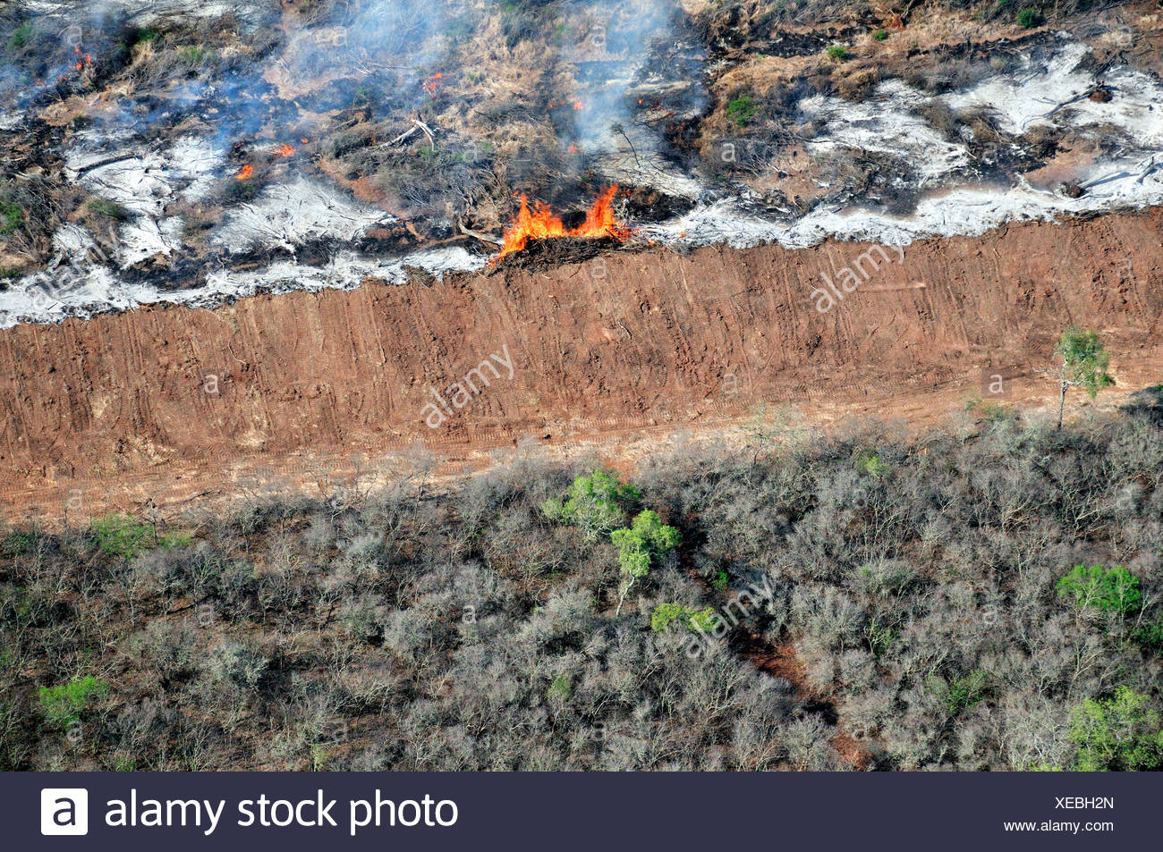 Forest Clearing Fire High Resolution Stock Photography and Images - Alamy