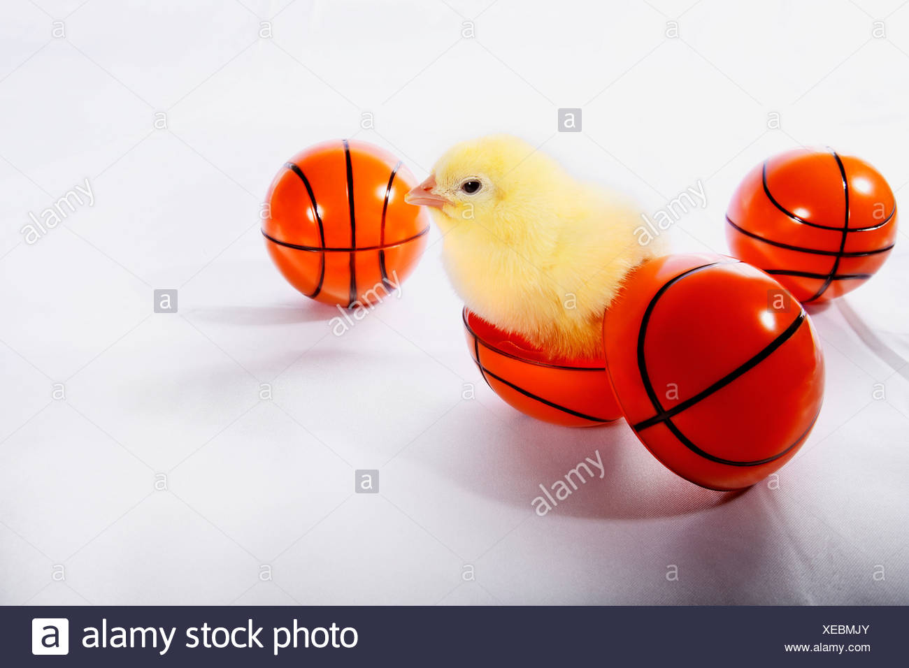 Basketball Hat High Resolution Stock Photography and Images - Alamy