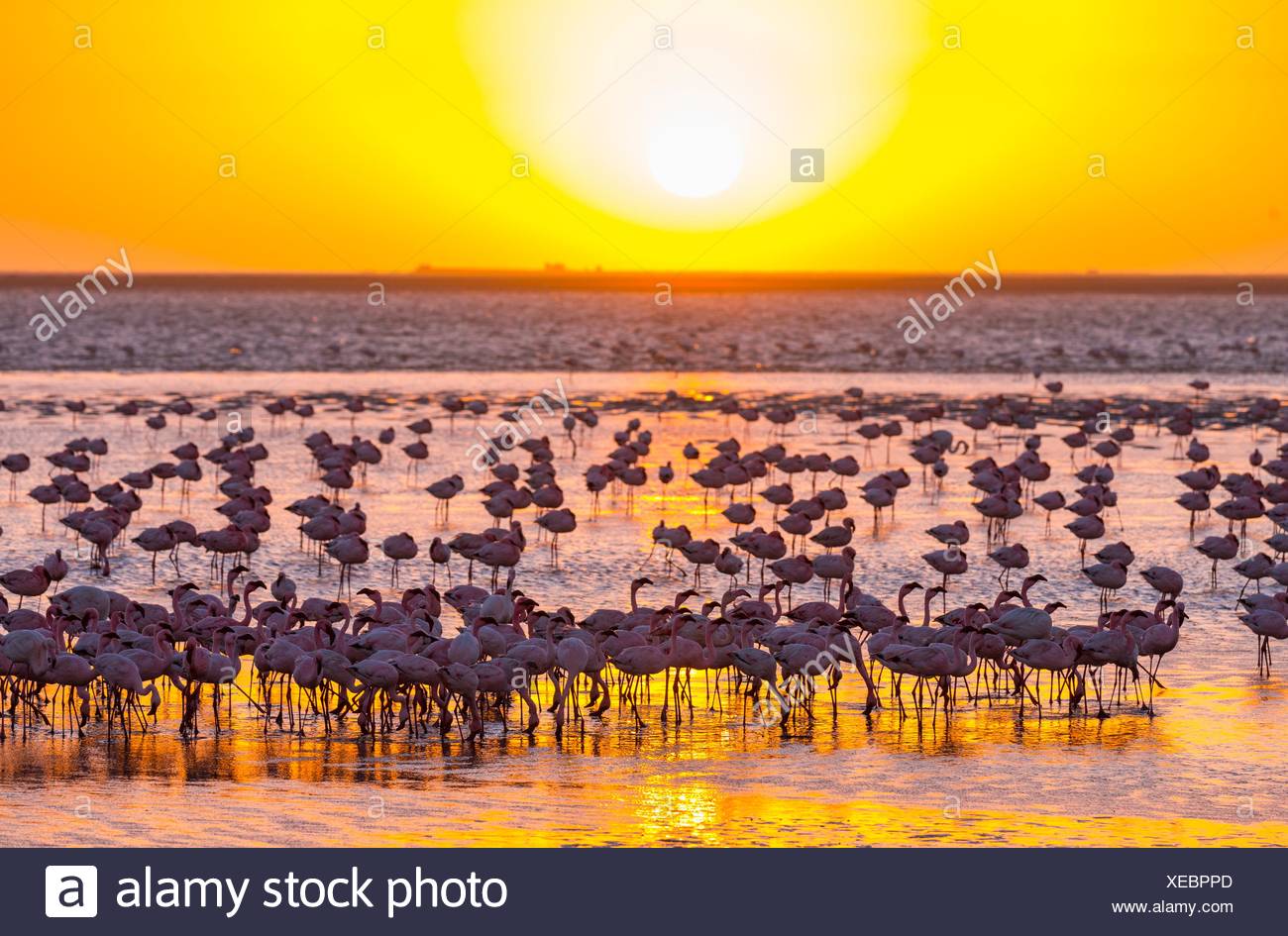 Walvis Bay High Resolution Stock Photography and Images - Alamy