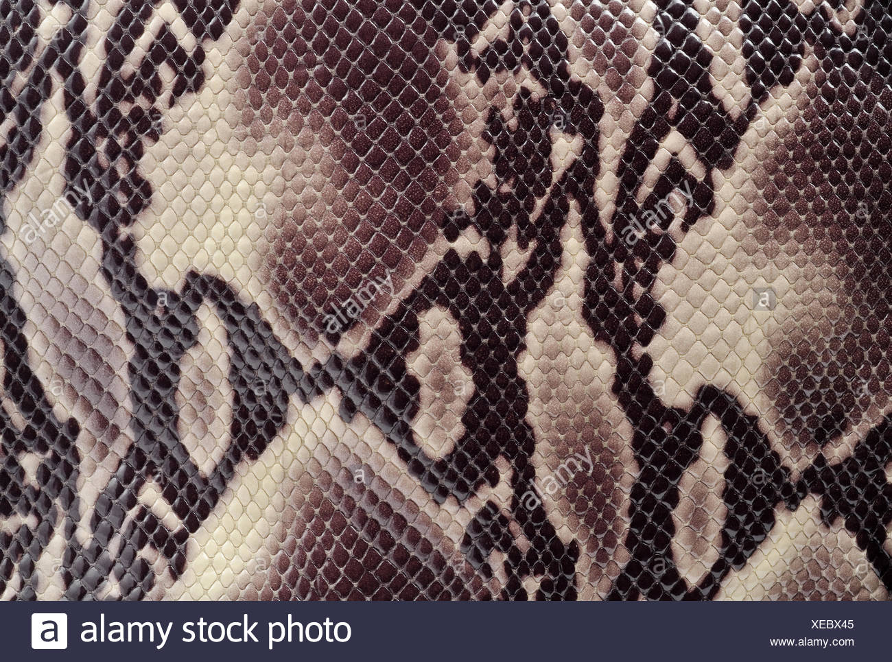 Snakeskin Effect Stock Photos & Snakeskin Effect Stock Images - Alamy