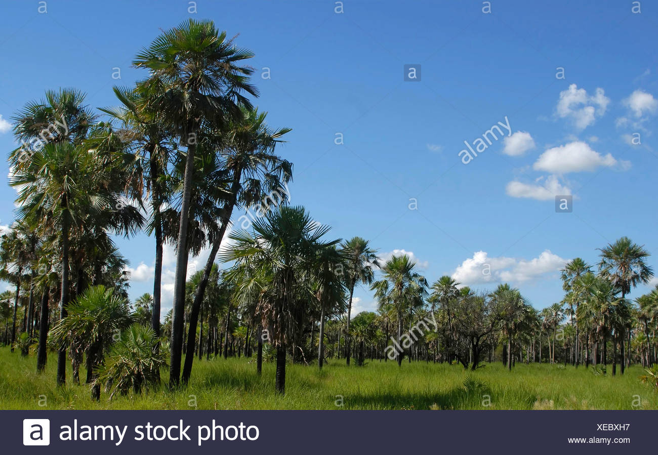 Formosa Argentina Stock Photos & Formosa Argentina Stock Images - Alamy