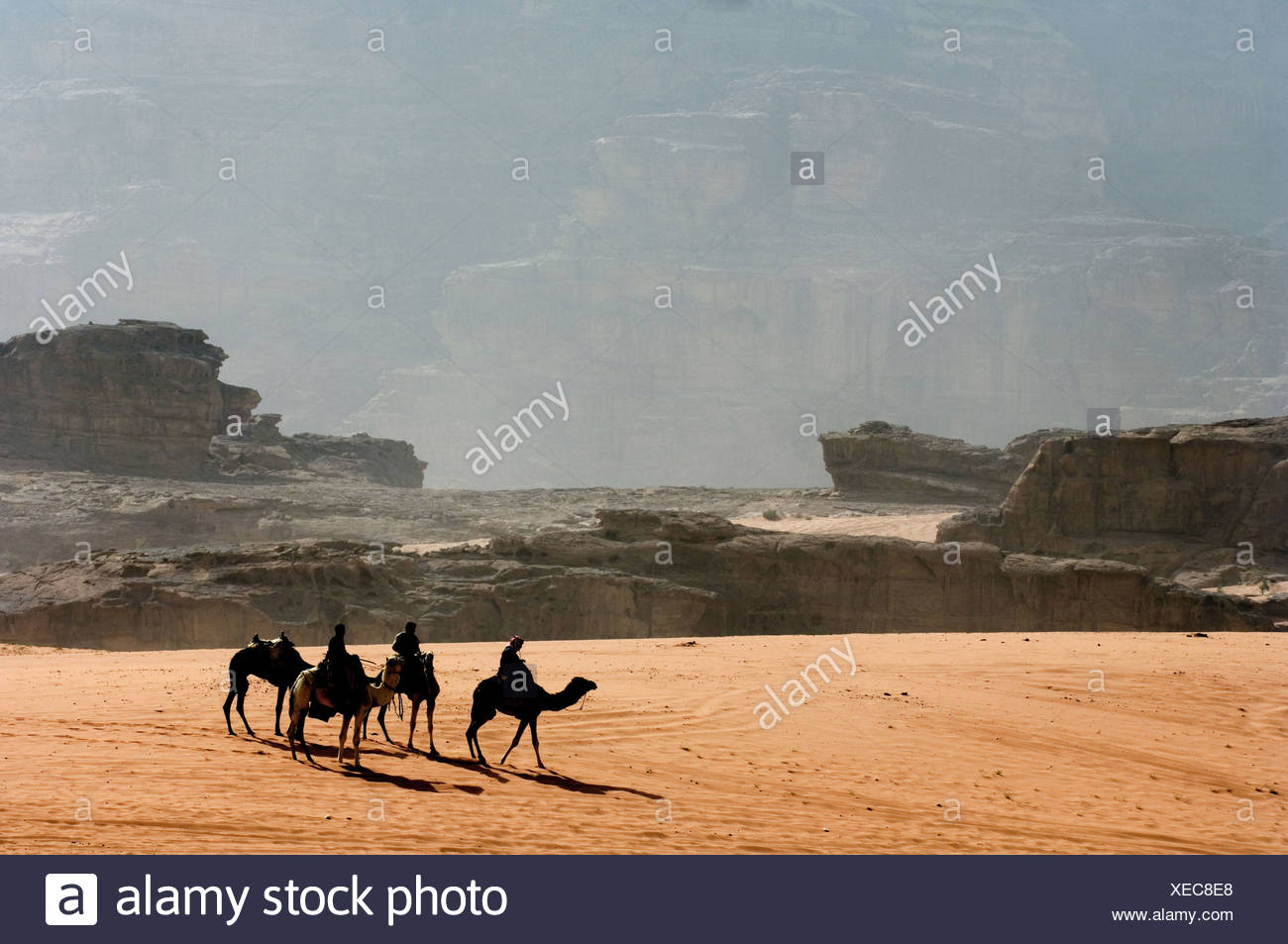 Camel Riders High Resolution Stock Photography and Images - Alamy