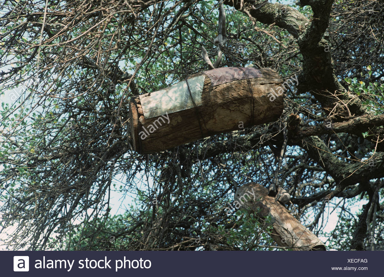 African Bee Hive High Resolution Stock Photography and Images - Alamy