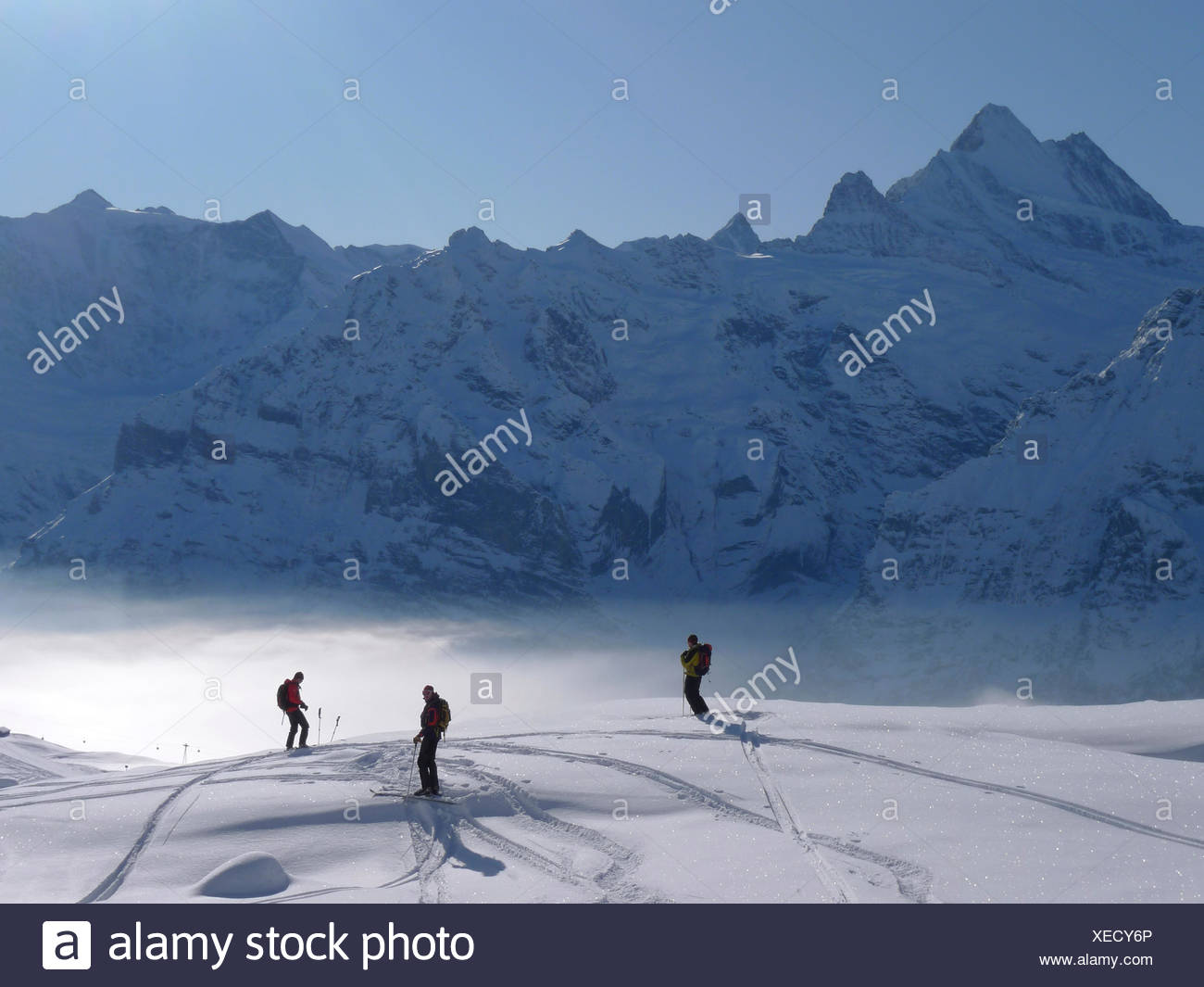 Thomas Greenall High Resolution Stock Photography and Images - Alamy