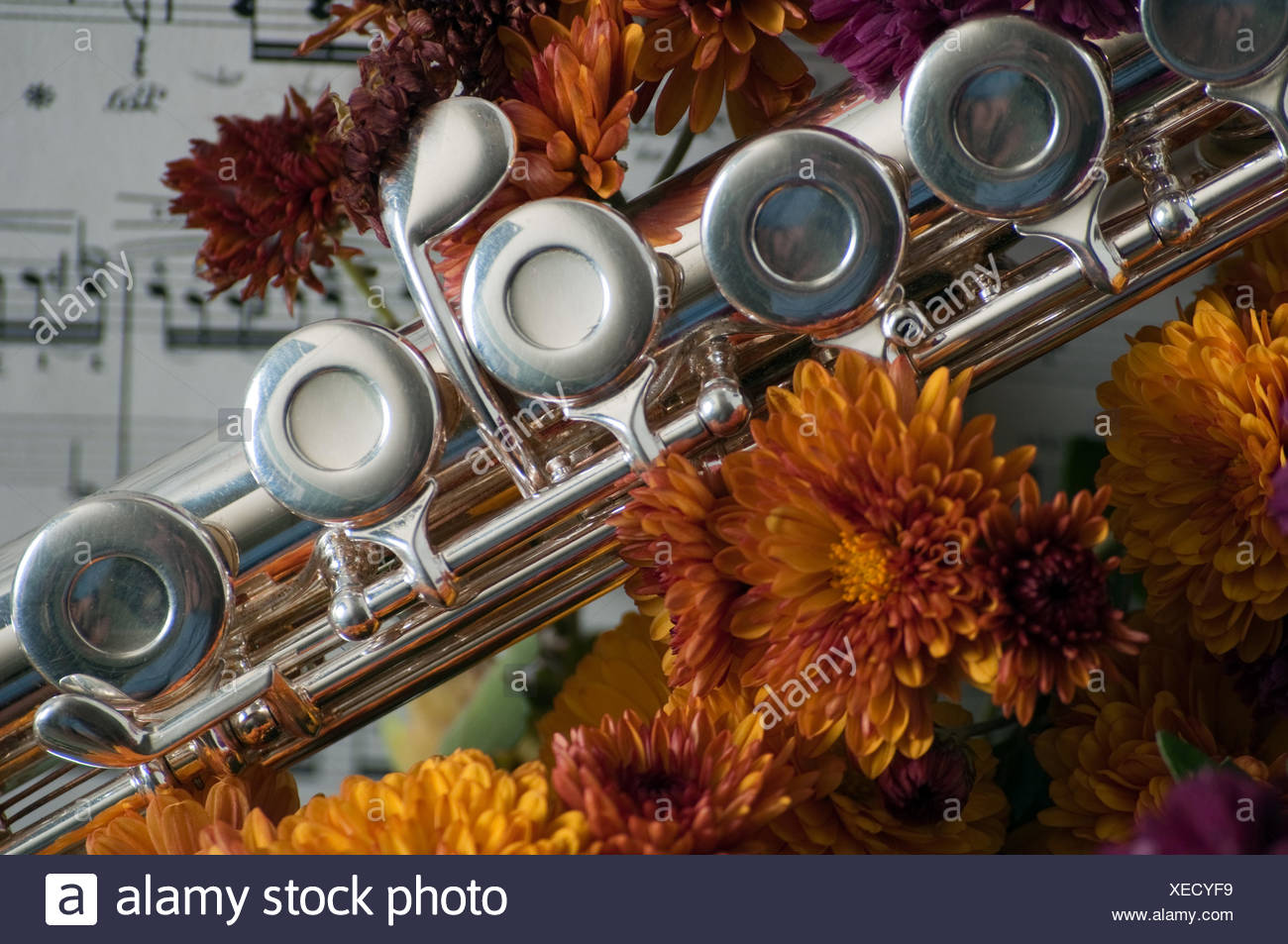 Flute Flowers Sheet Music Stock Photos & Flute Flowers Sheet Music ...