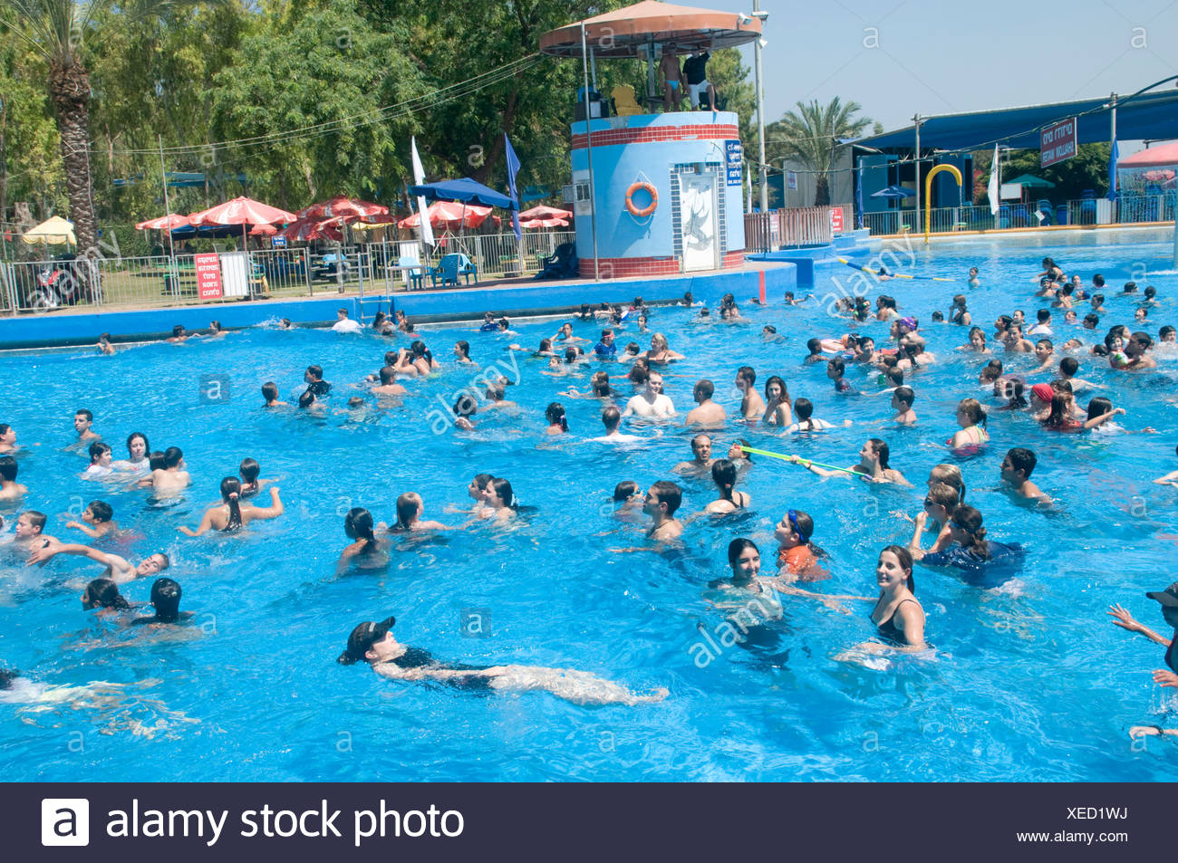 Crowded Swimming Pool High Resolution Stock Photography and Images - Alamy