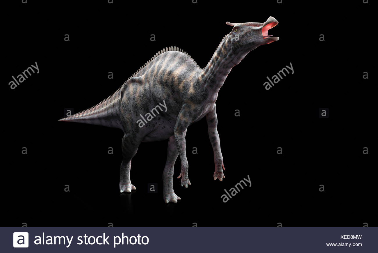 Saurolophus Stock Photos & Saurolophus Stock Images - Alamy