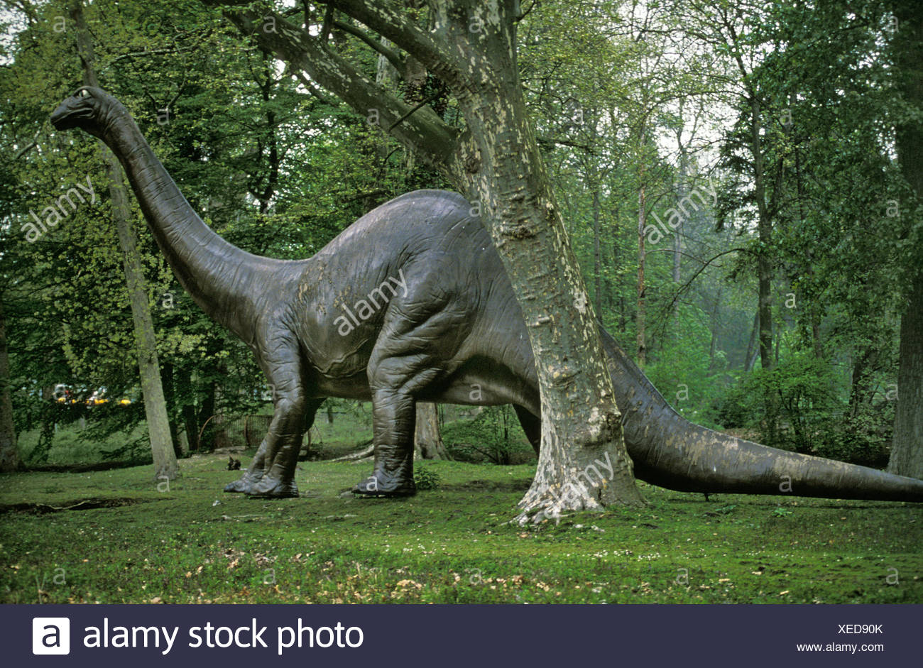 Sauropods High Resolution Stock Photography and Images - Alamy