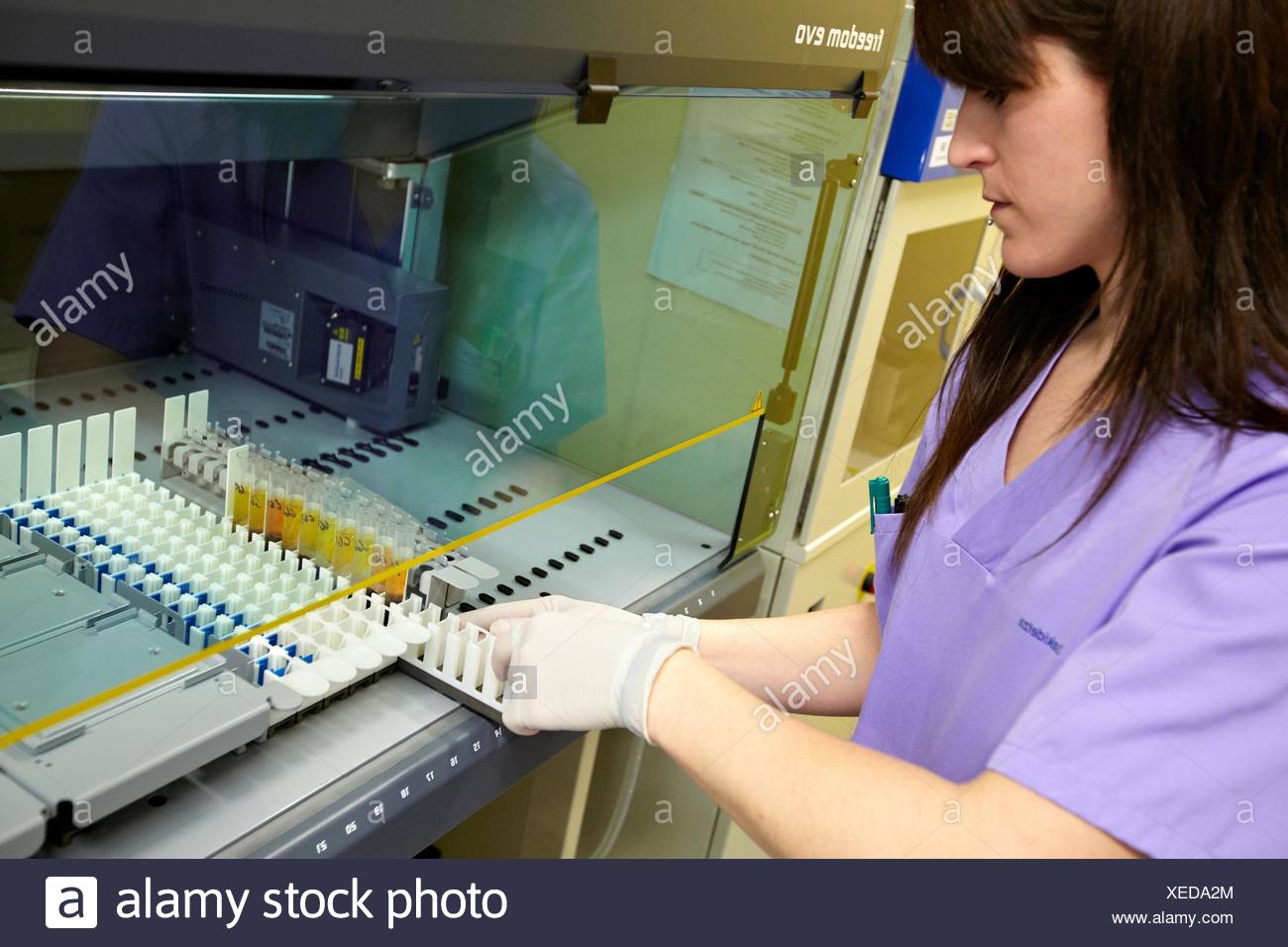 Muestras High Resolution Stock Photography and Images - Alamy