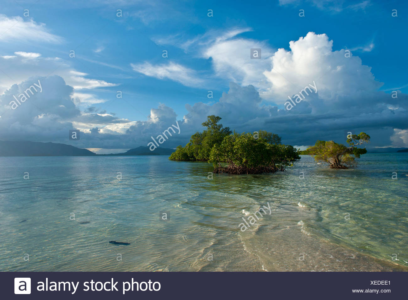Marovo Lagoon Stock Photos & Marovo Lagoon Stock Images - Alamy