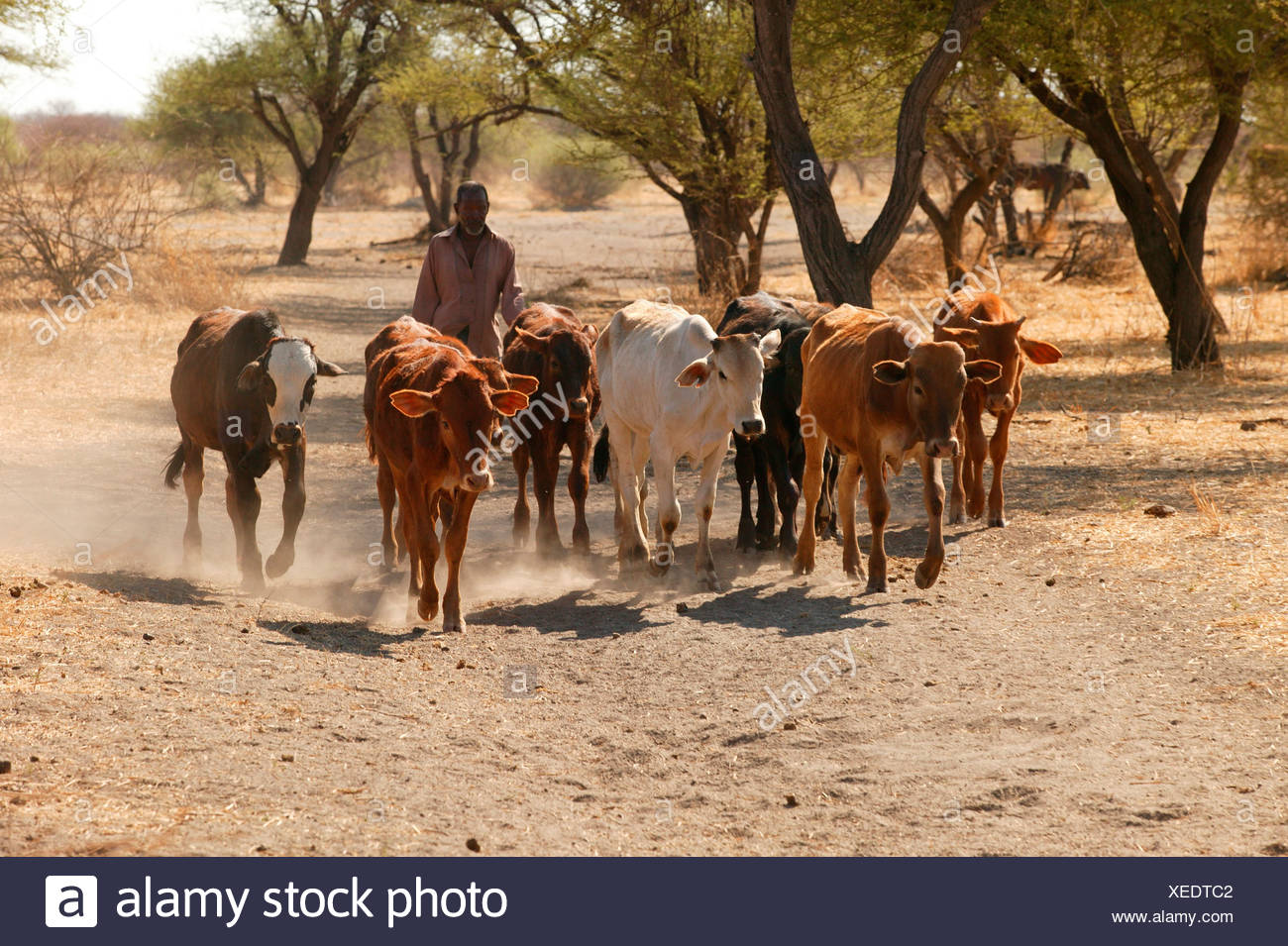 Kraals High Resolution Stock Photography and Images - Alamy